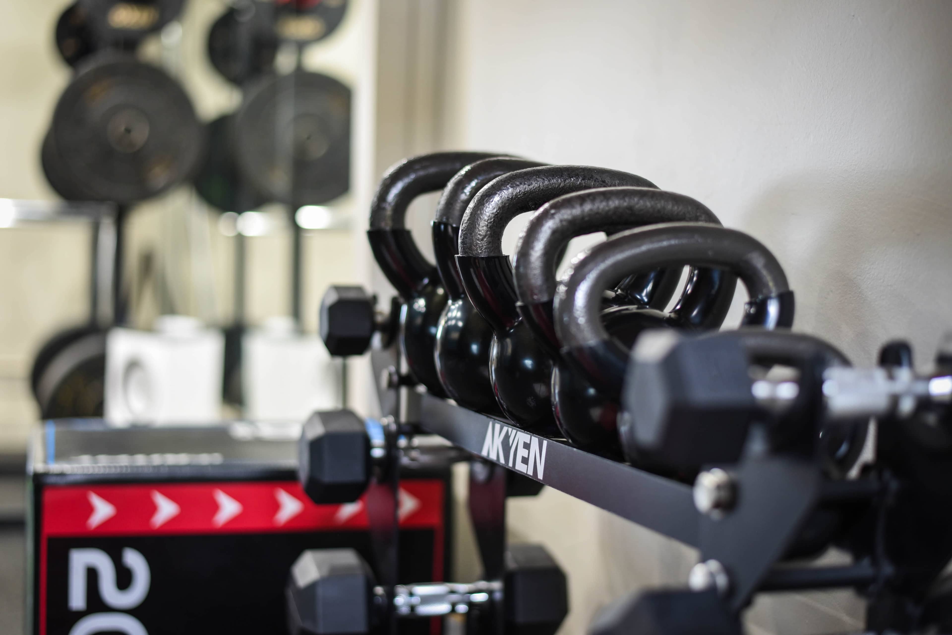 RISE Performance & Health | Fitness Studio at a Boutique Physical ...