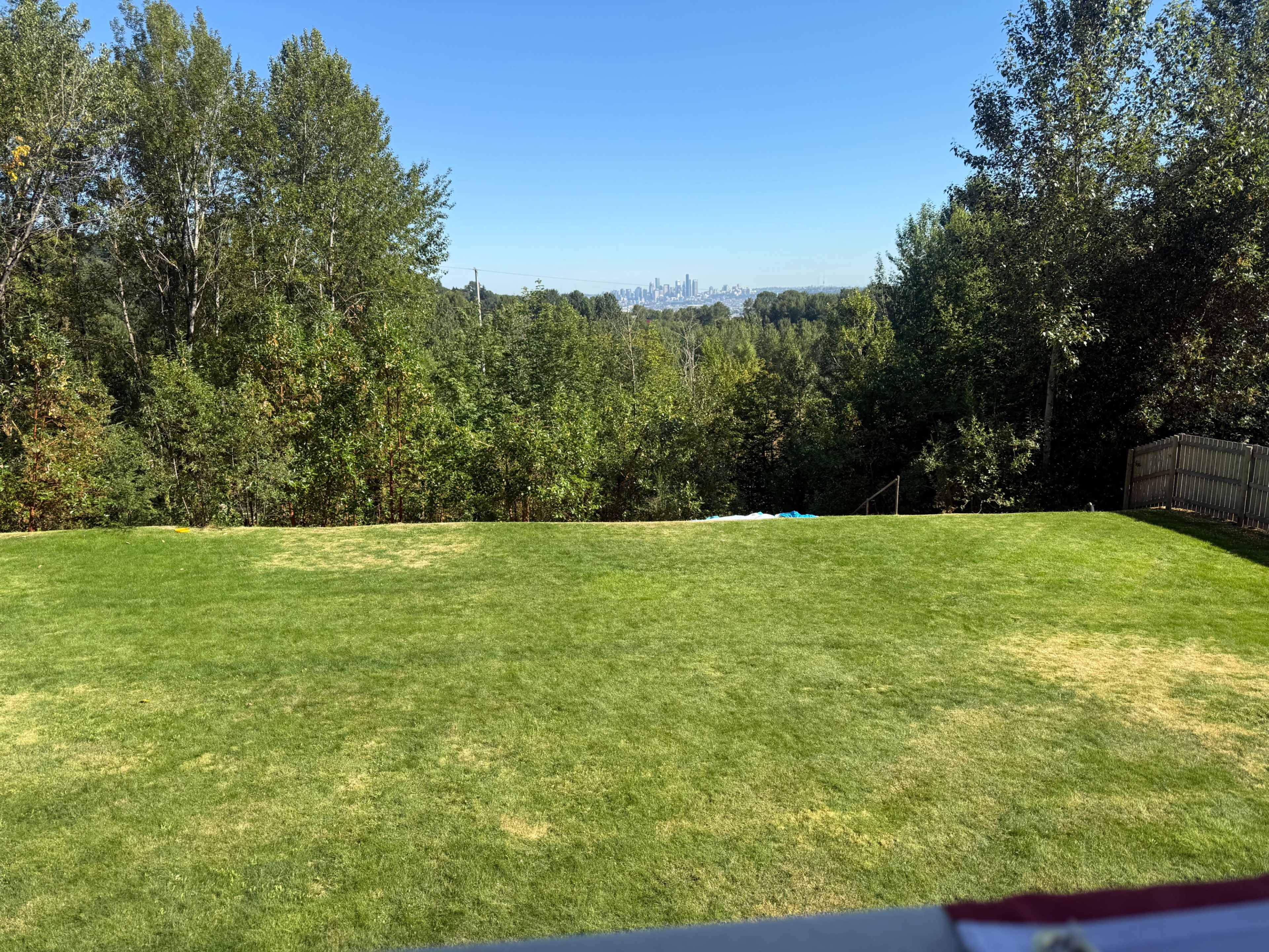 Large Outdoor Green Space with City Views - Must Love Goats!, Seattle ...