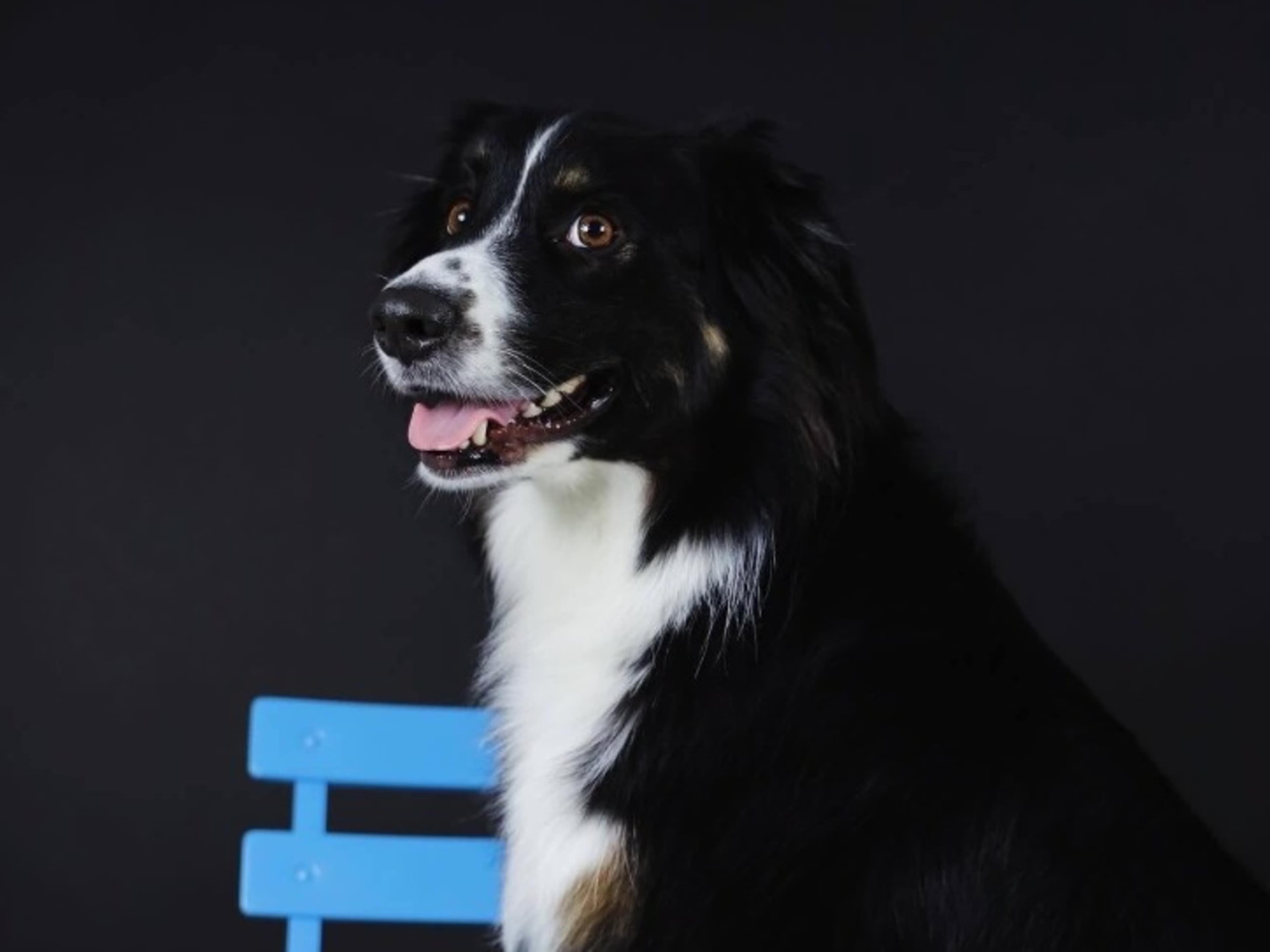 Haifun Studio | Orlando's Colorful Fun Accessible Studio, Orlando, FL ...