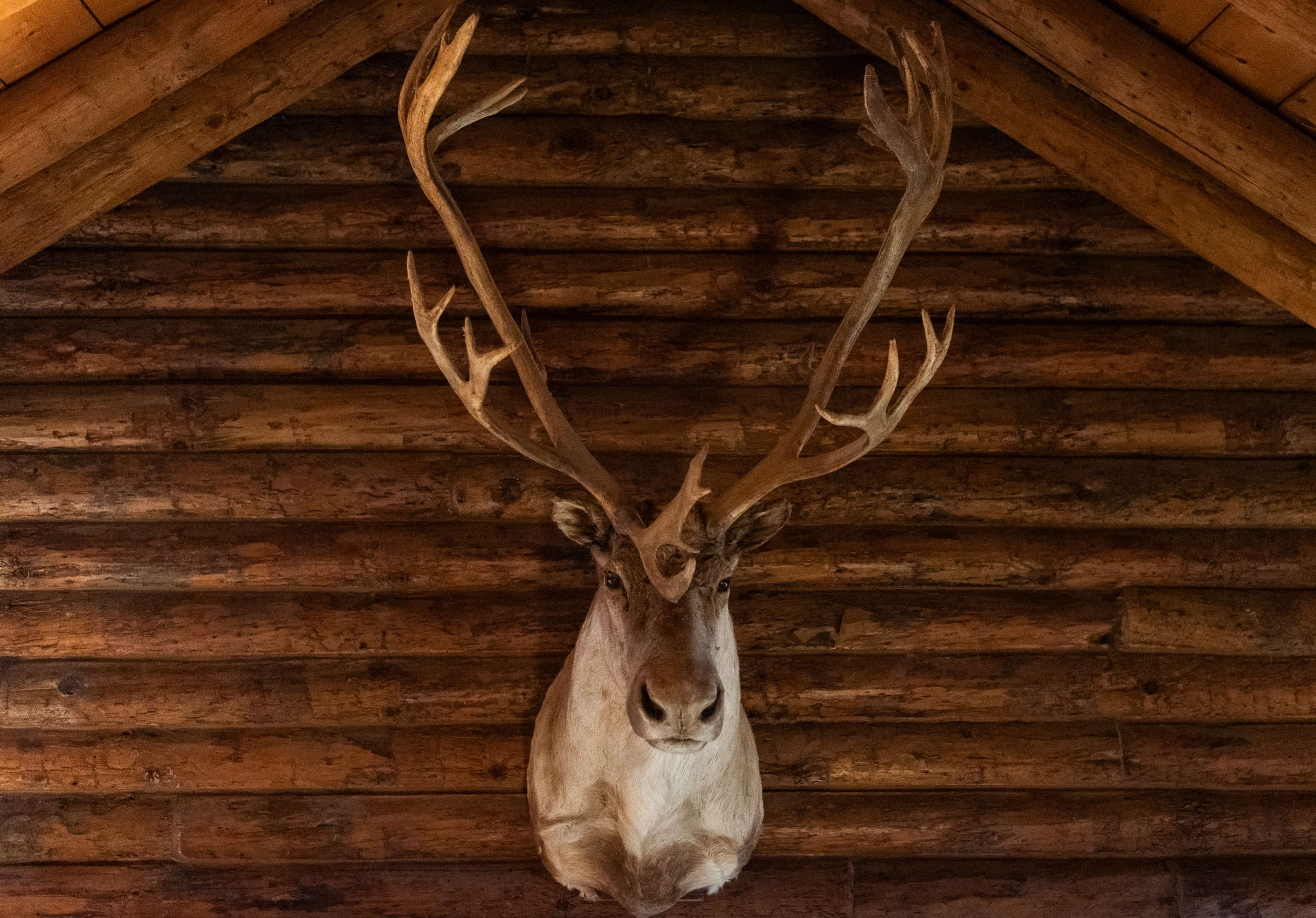 Stunning Log Cabin Located in Ohio Farmland, Butler, OH | Production ...
