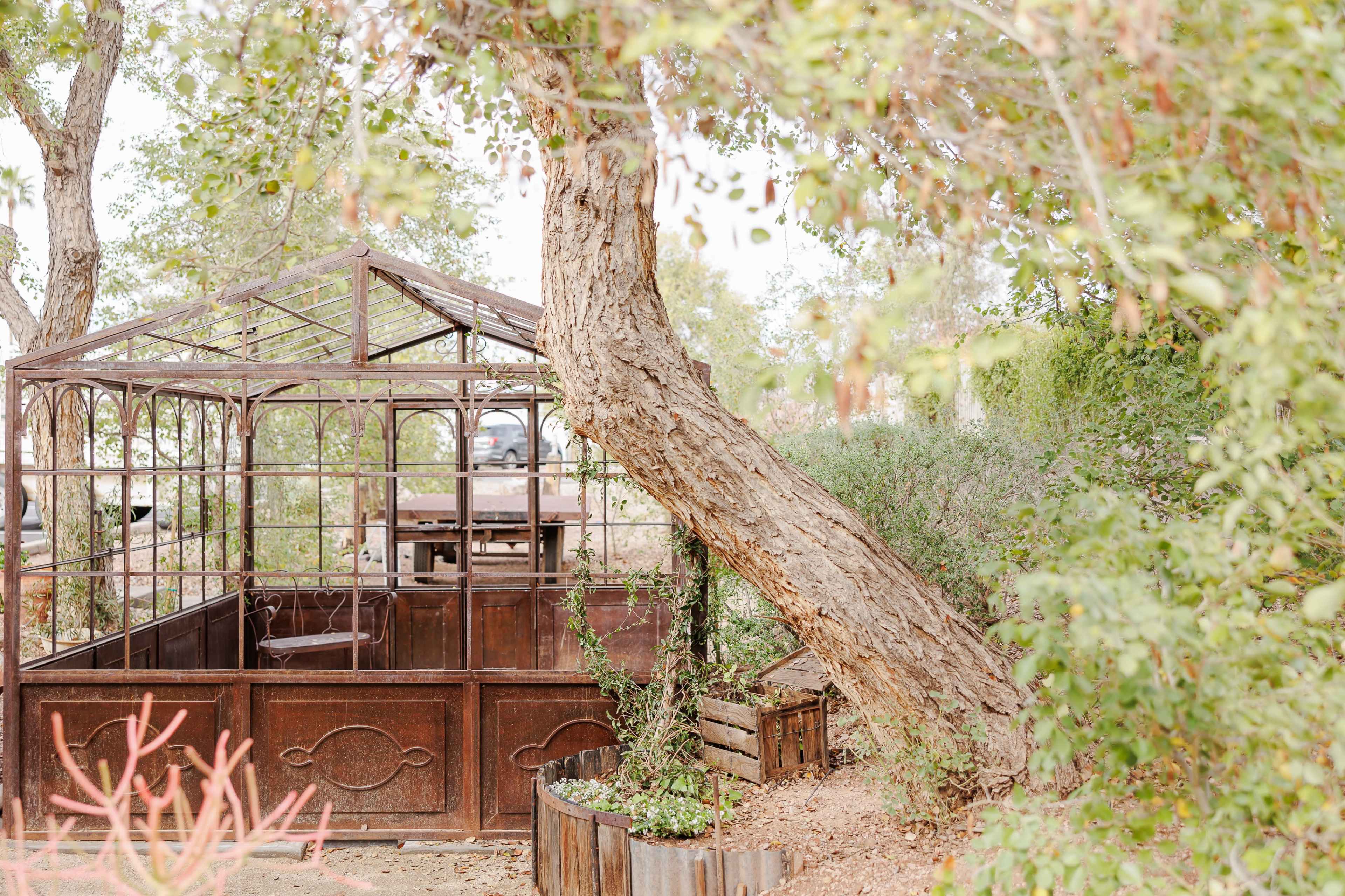 Greenhouse- Rustic, Outdoor, Open Air and Natural Light Photography and ...