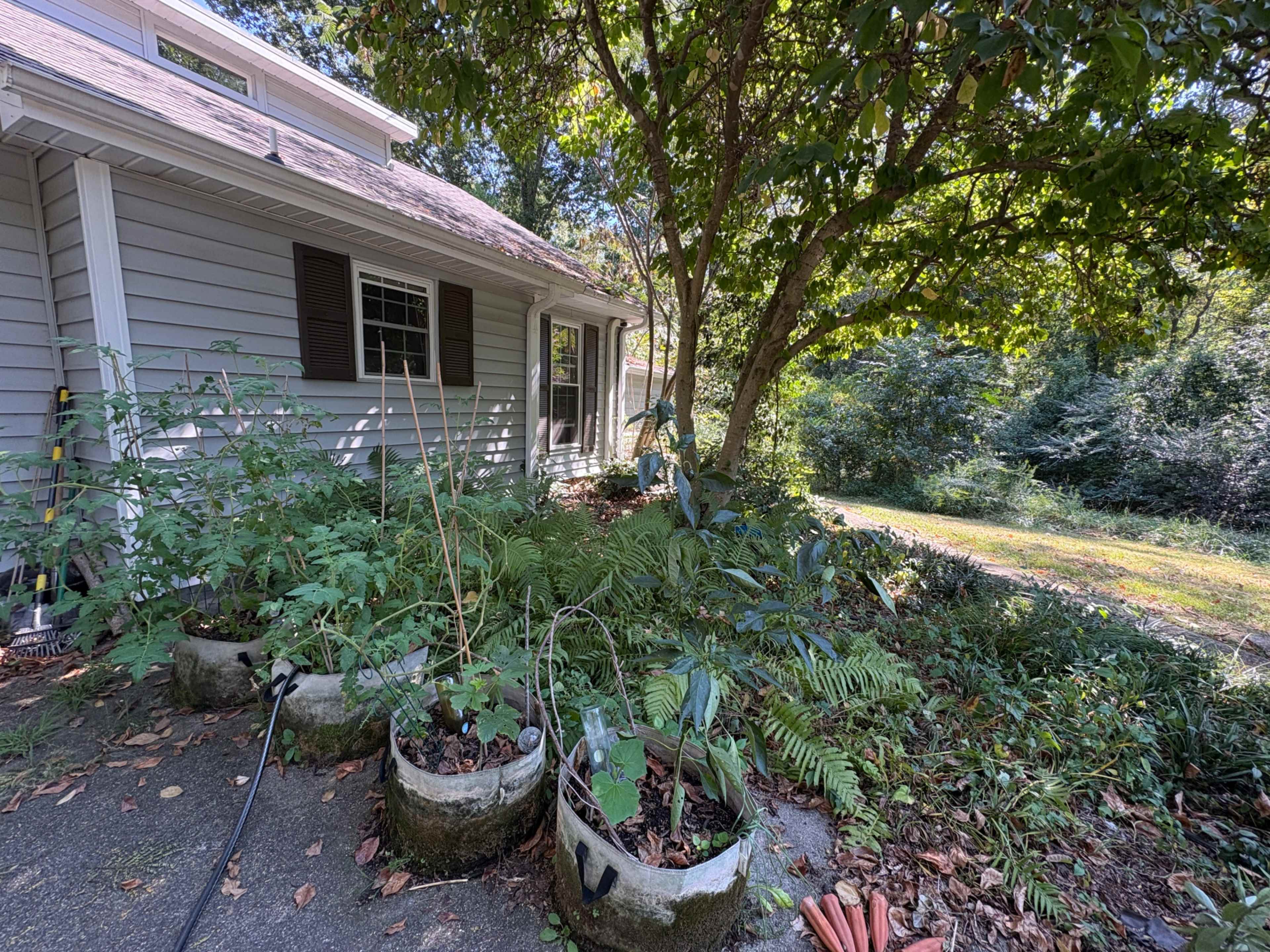 Country house & setting, Center Point, AL | Event | Peerspace