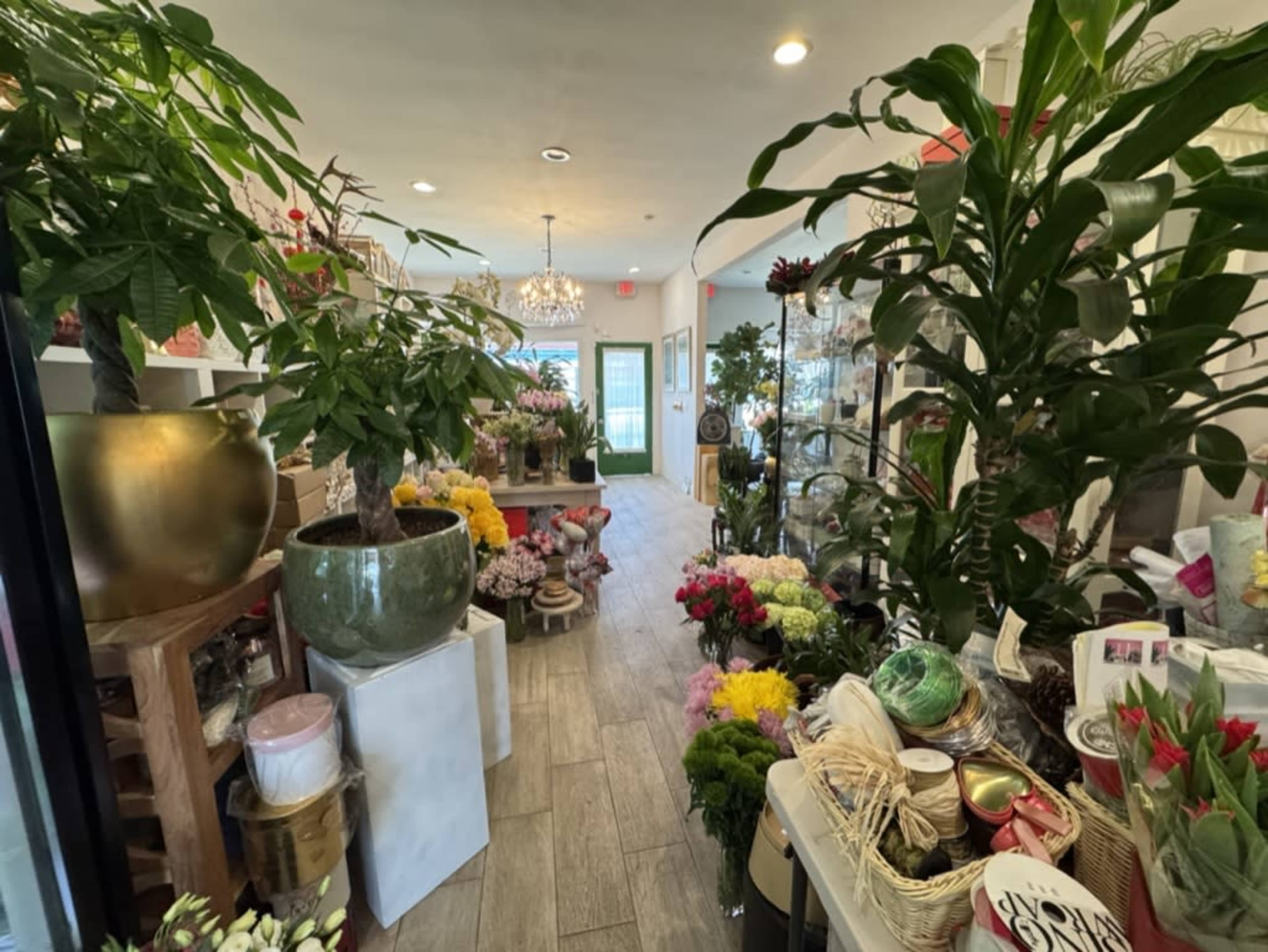 Orchid Boutique | Boutique Flower Shop for Pop-Ups & Workshops, San ...