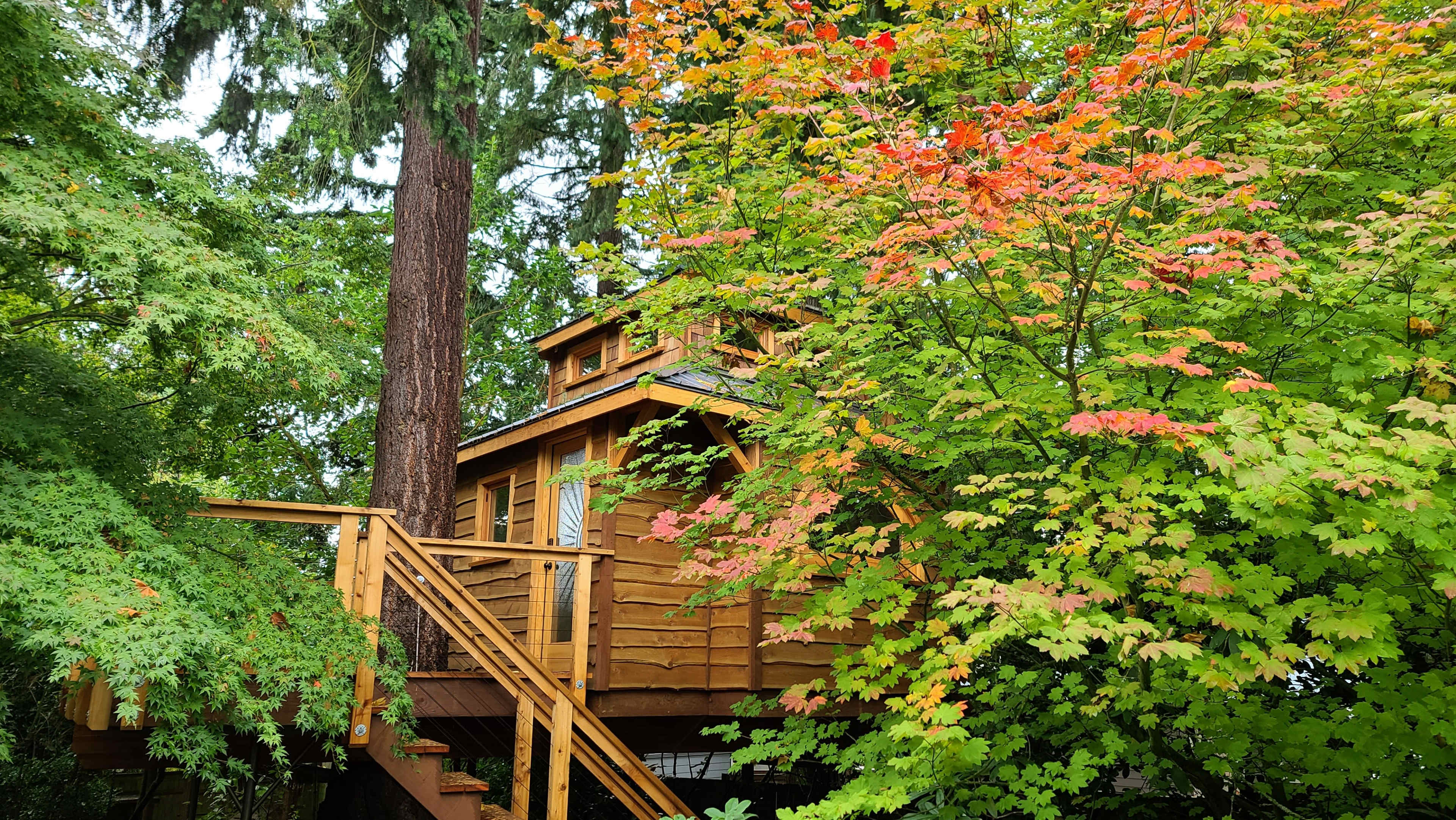 Bohemian Treehouse in Seattle, Seattle, WA | Production | Peerspace