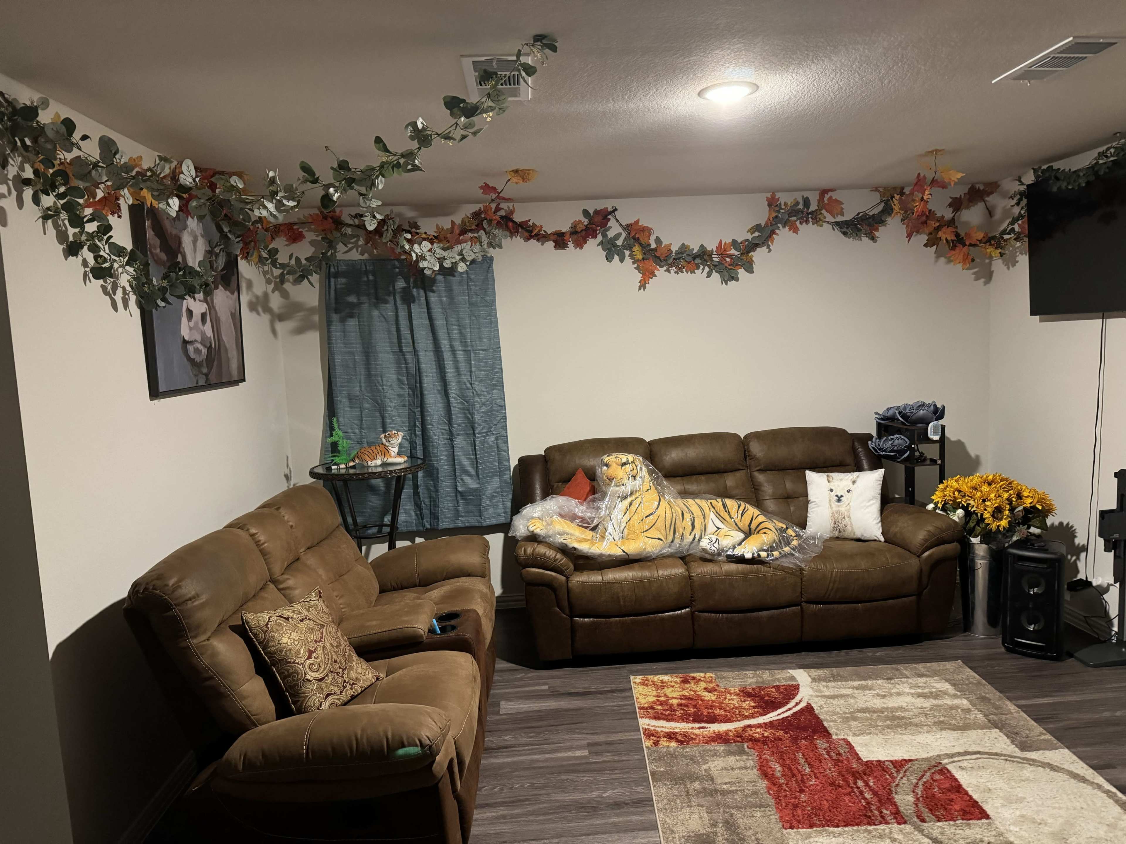 Jungle Book in Galena Park, Houston, TX | Production | Peerspace