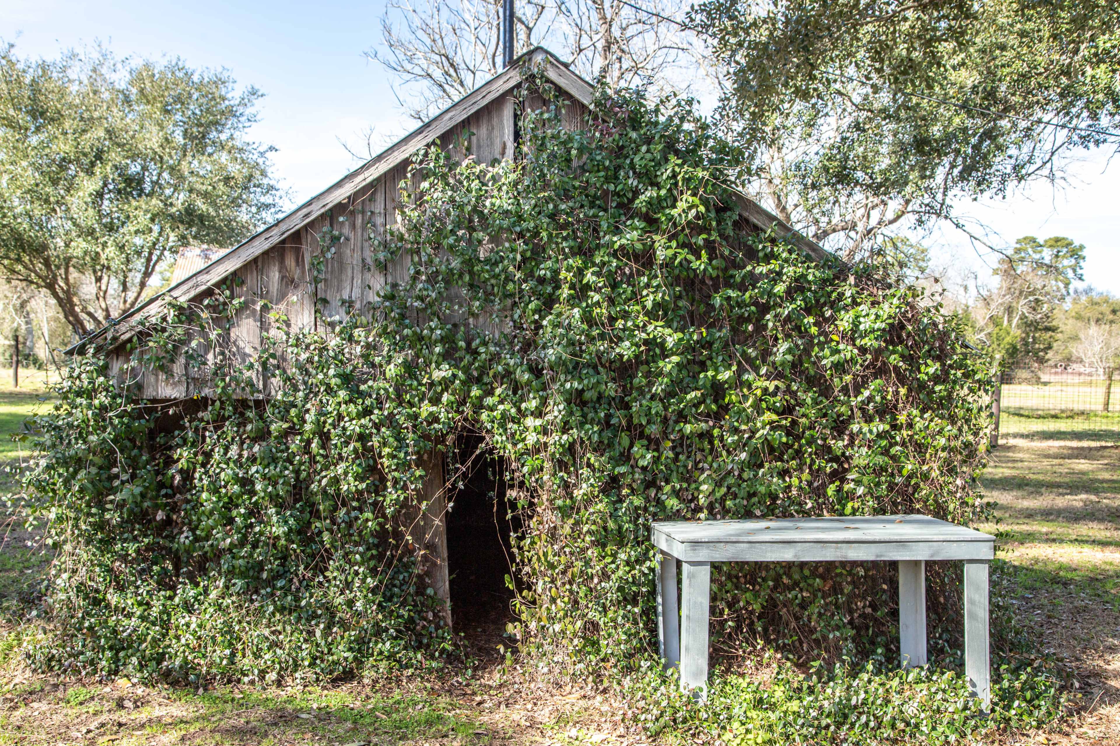 Homestead Farm Rental with Rustic Vibe, Magnolia, TX | Production ...