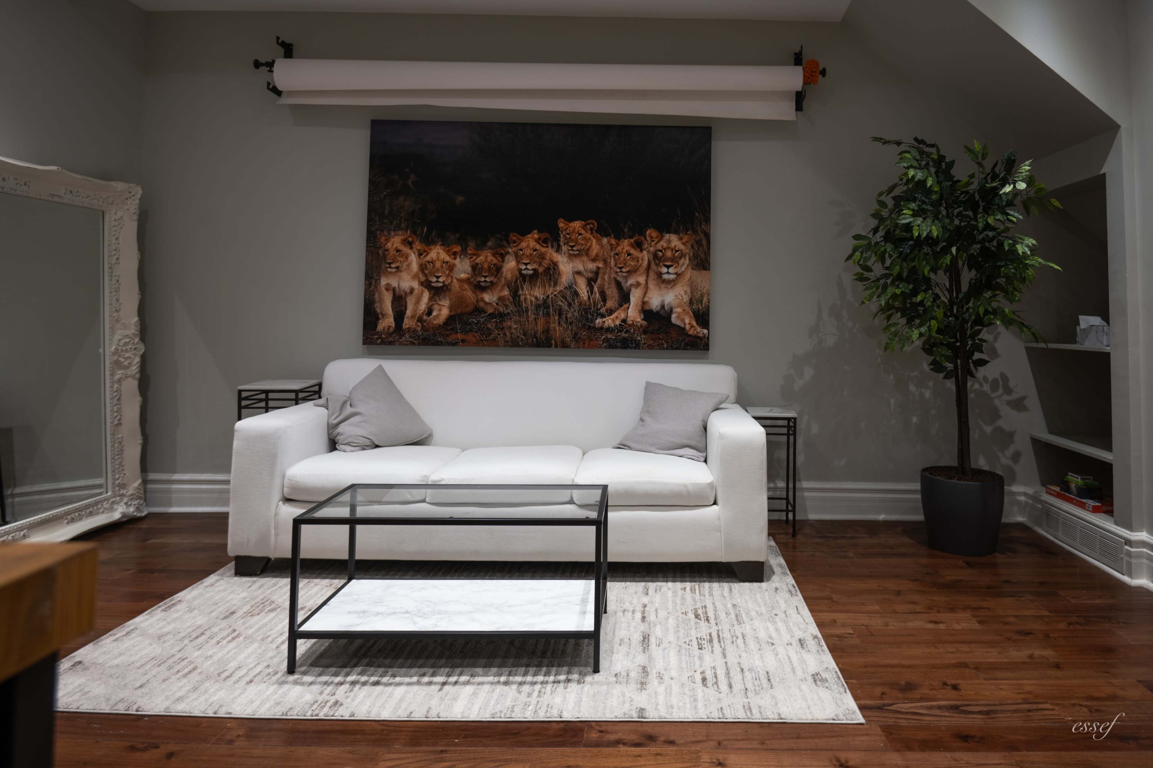 Beautiful Home/ Photo Studio, Toronto | Production | Peerspace