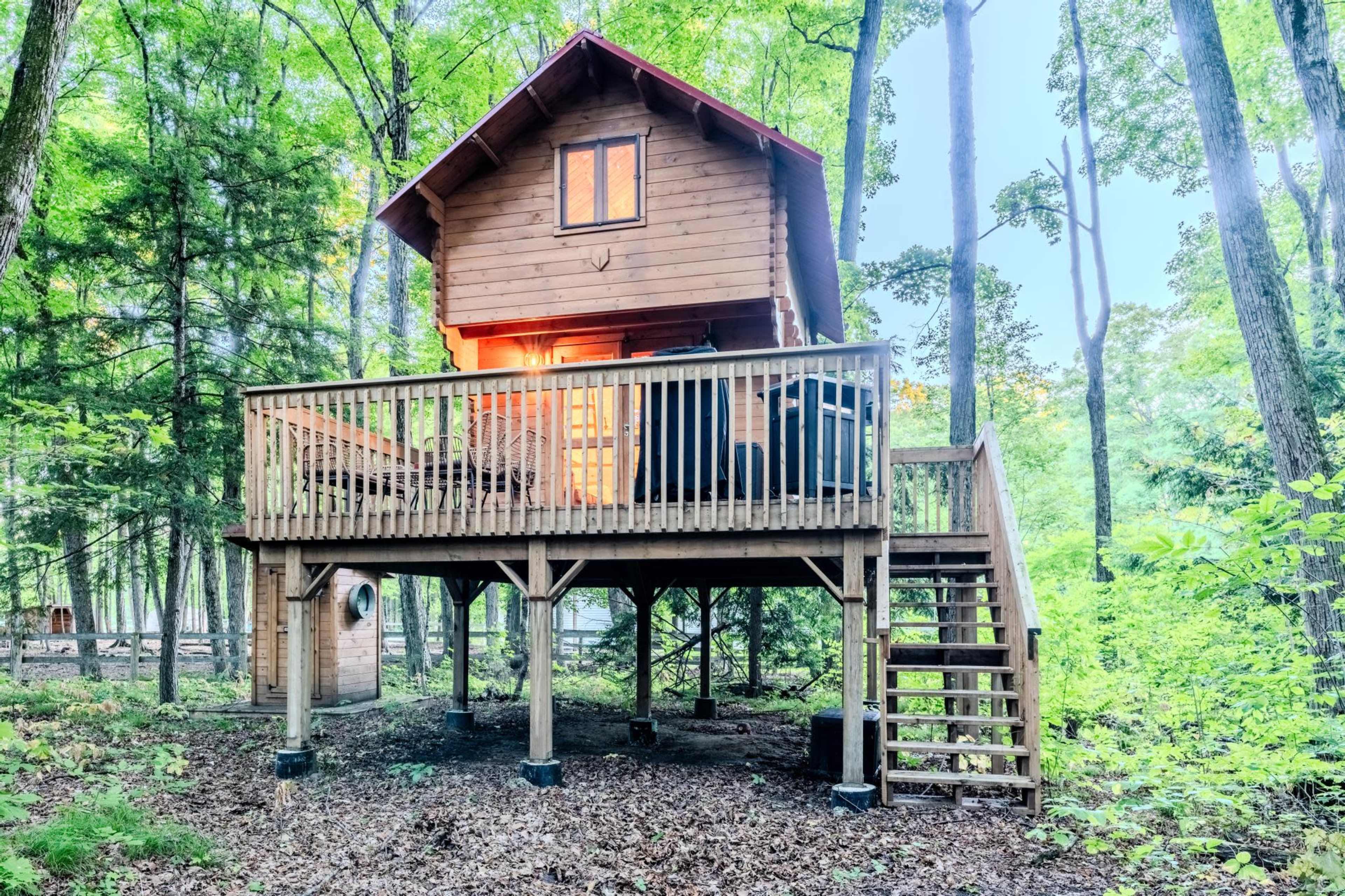 The Taiga Animal Sanctuary | 10 Acres Animal Sanctuary, Sharon ...