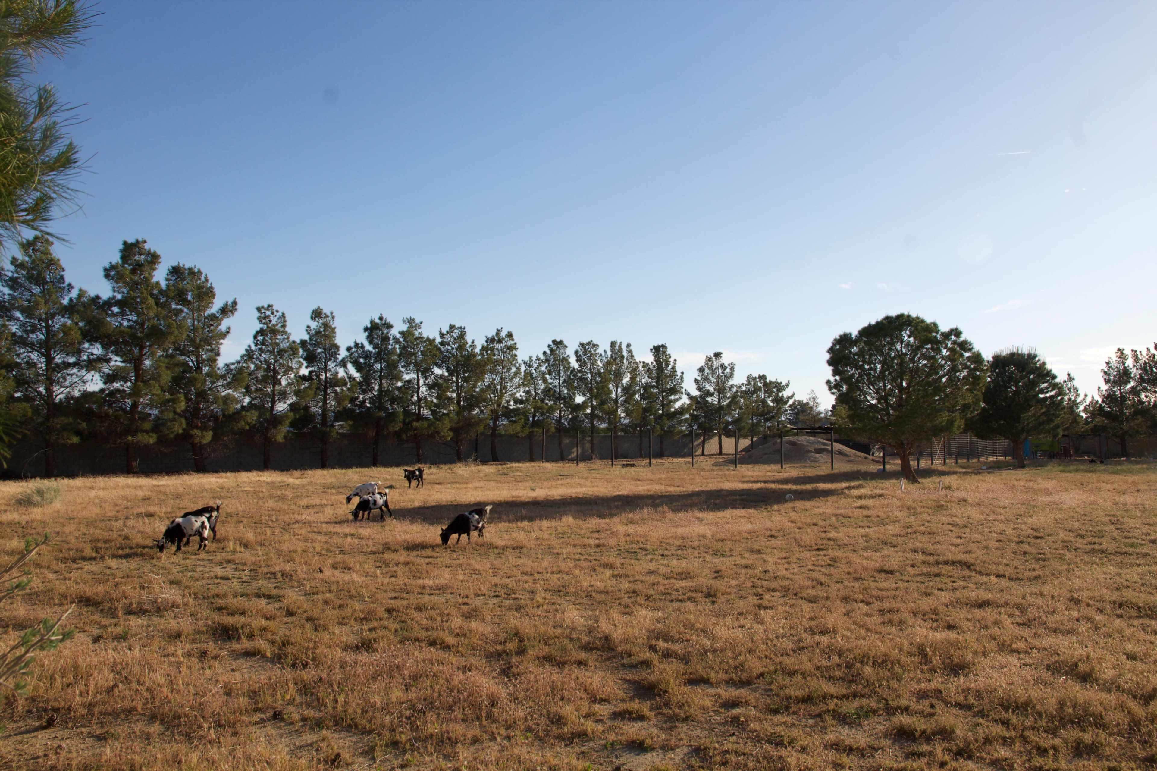 Spacious Family Ranch, Antelope Acres, CA | Production | Peerspace