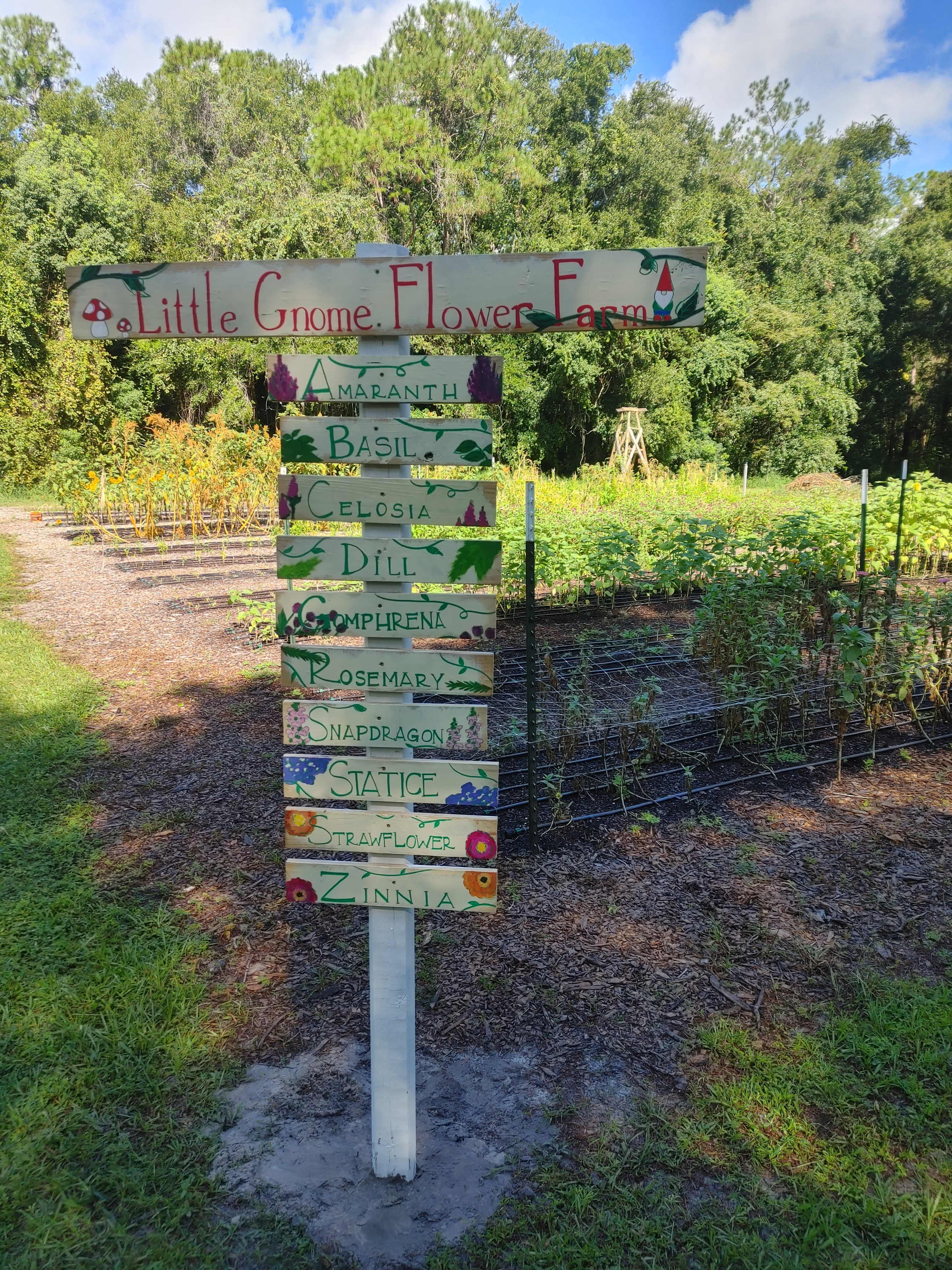 Little Gnome Flower farm | Quiet and Charming Flower Field, Winter ...