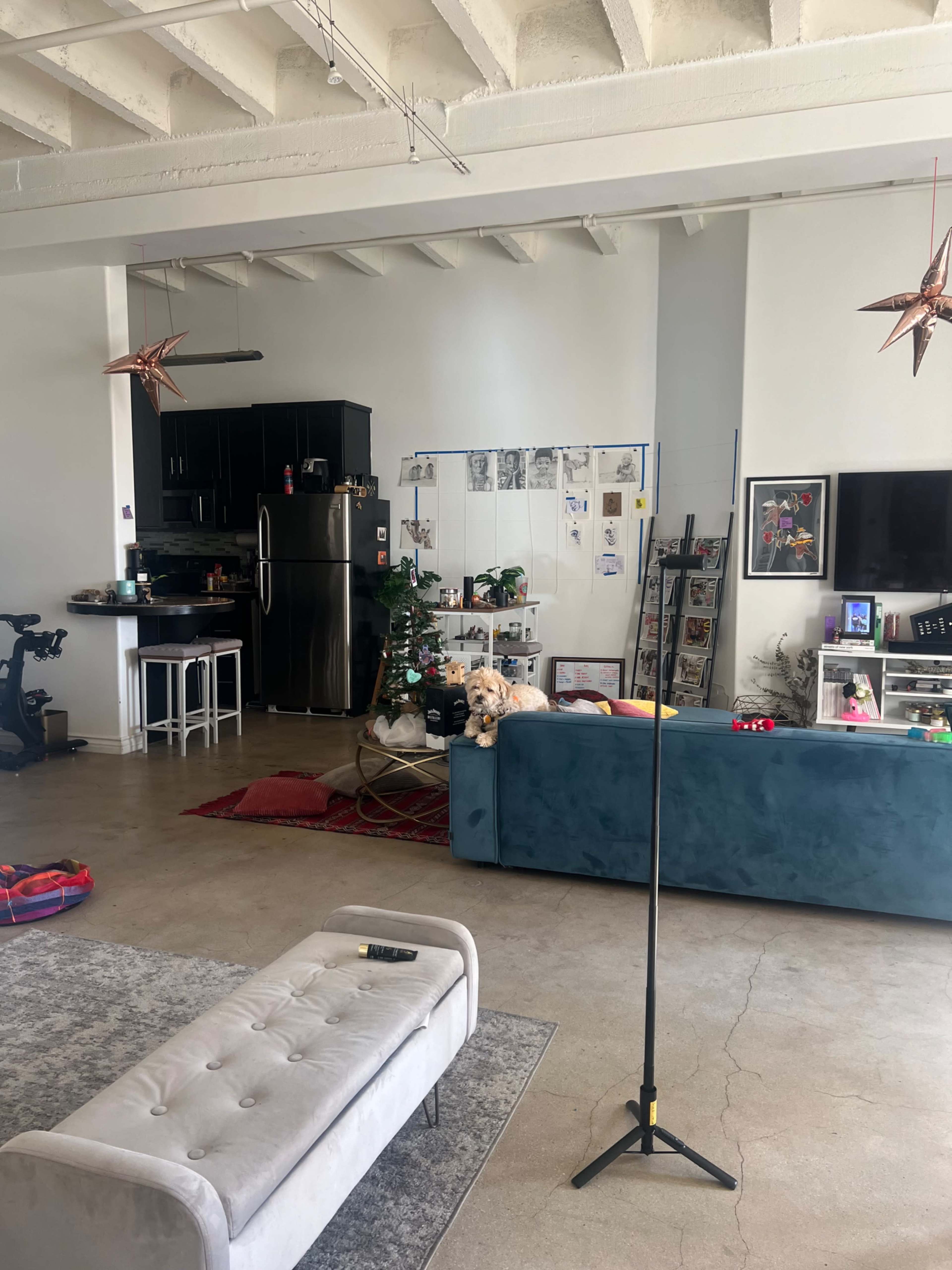 Comfortable + Cute DTLA Loft, Los Angeles, CA | Production | Peerspace
