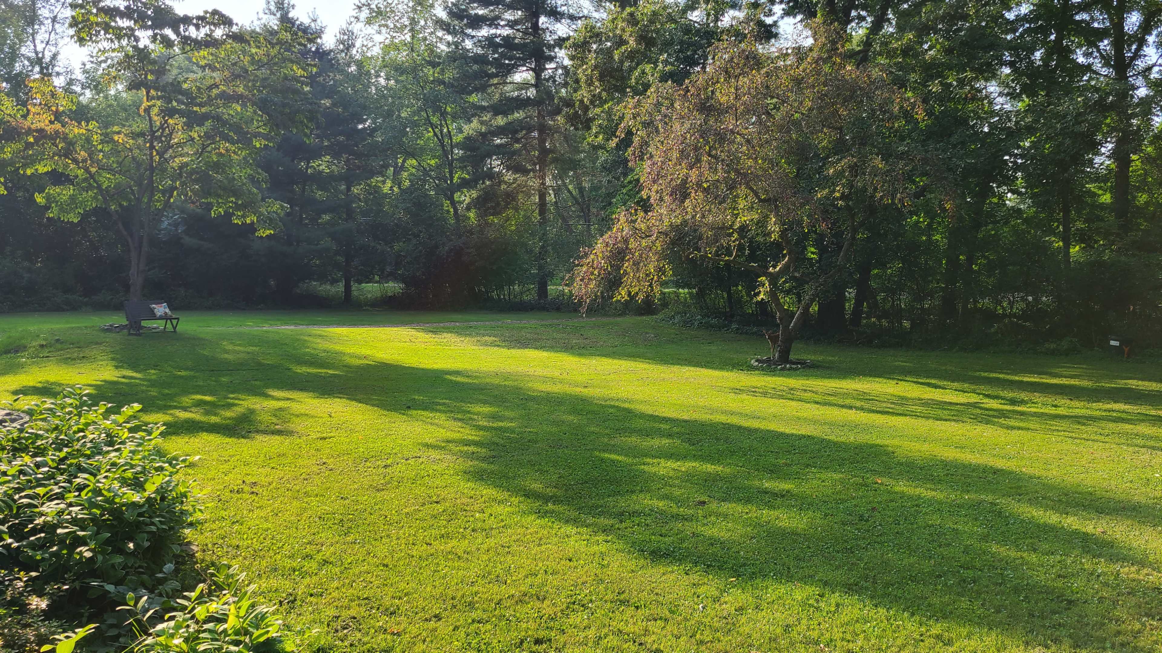 Four-Season Suburban Forest Photo Shoot site, Farmington hills, MI ...
