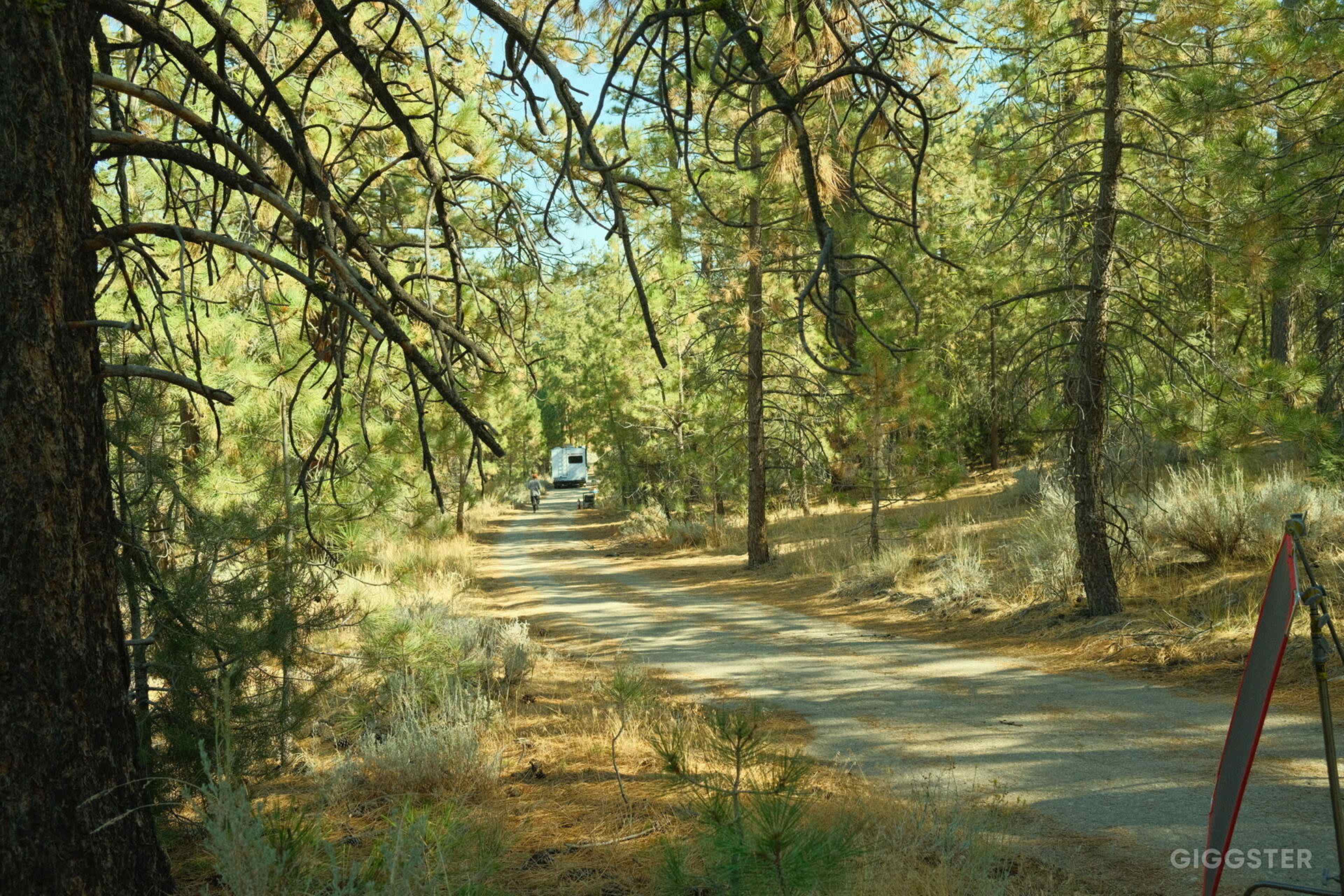 Rustic Ranch with 10 acres of National Forestry, Frazier Park, CA ...