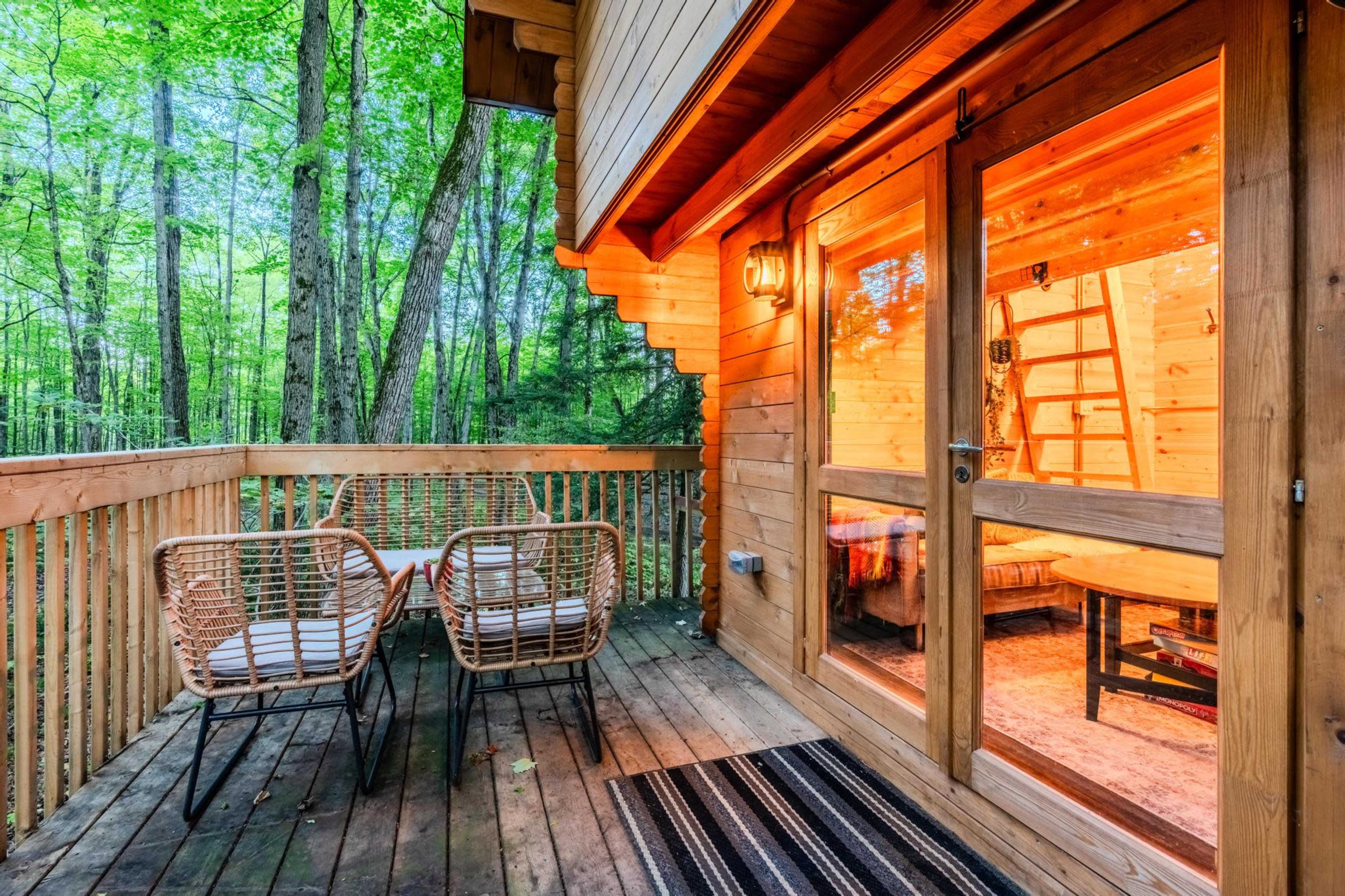 The Taiga Animal Sanctuary | 10 Acres Animal Sanctuary, Sharon ...