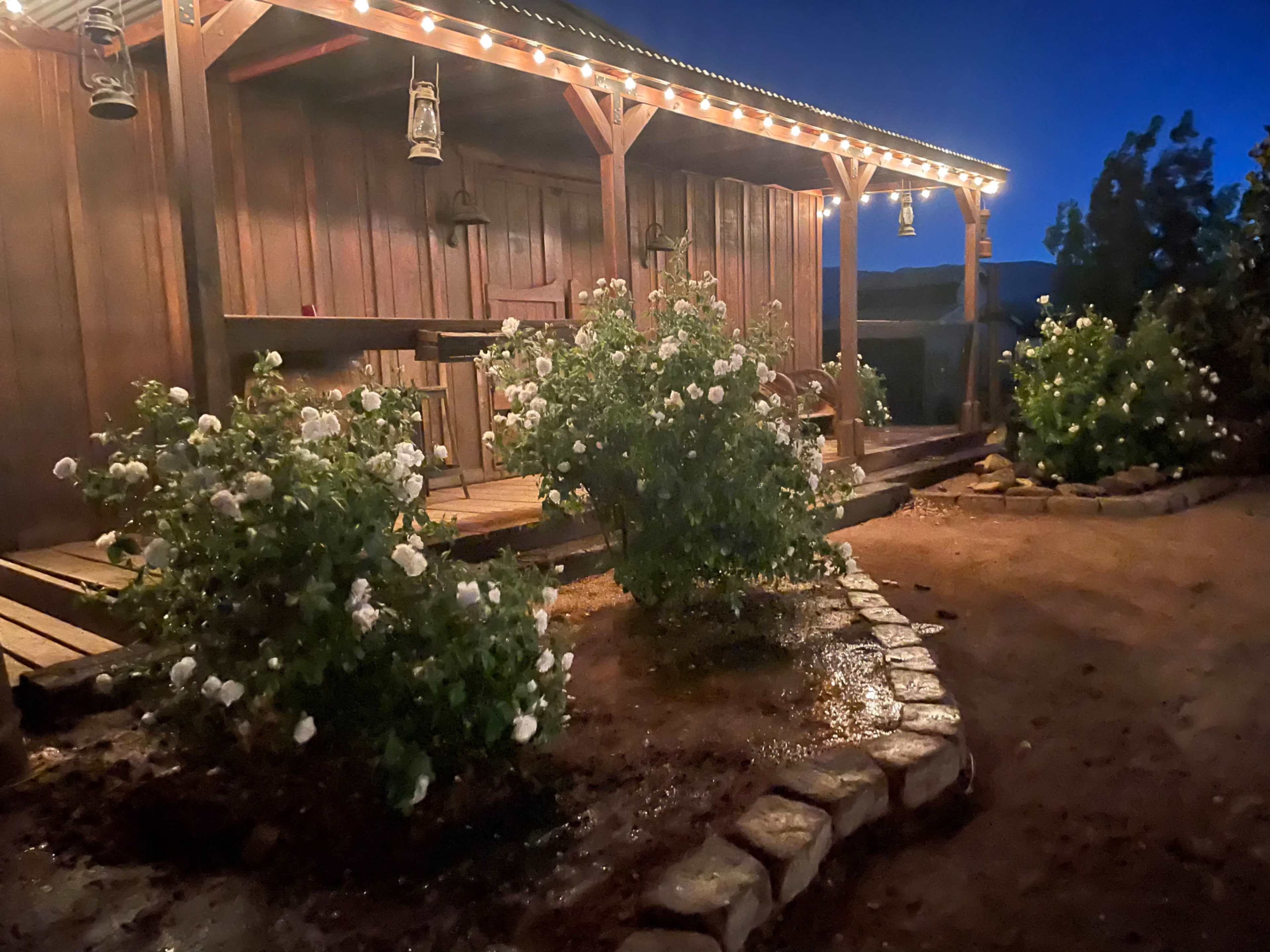 El Rancho De Rosas | White Rose Garden Venue, Phelan, CA | Event ...