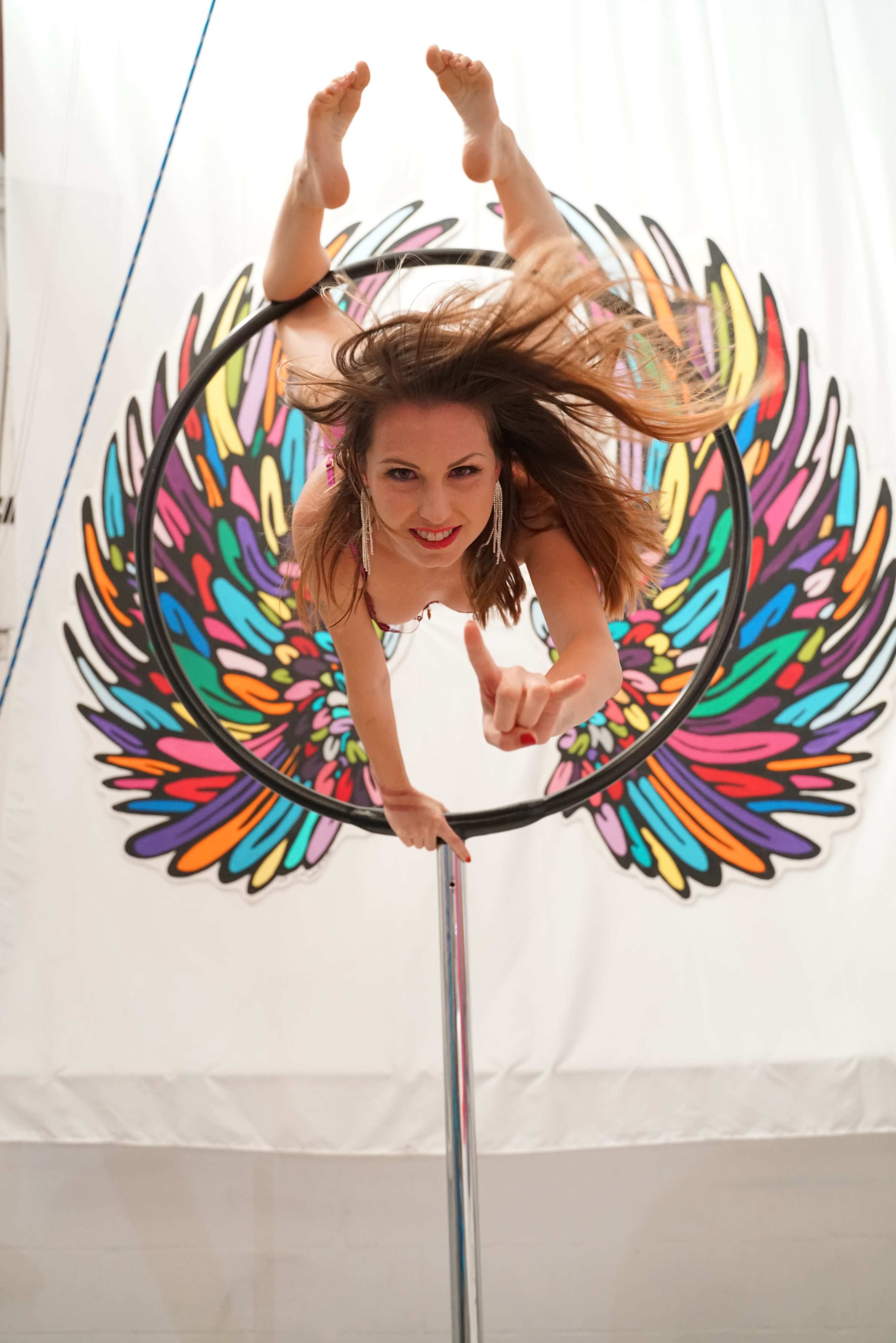 Aerial Athelte St. Aug. Studio | Custom Hand painted Wings with rigging ...