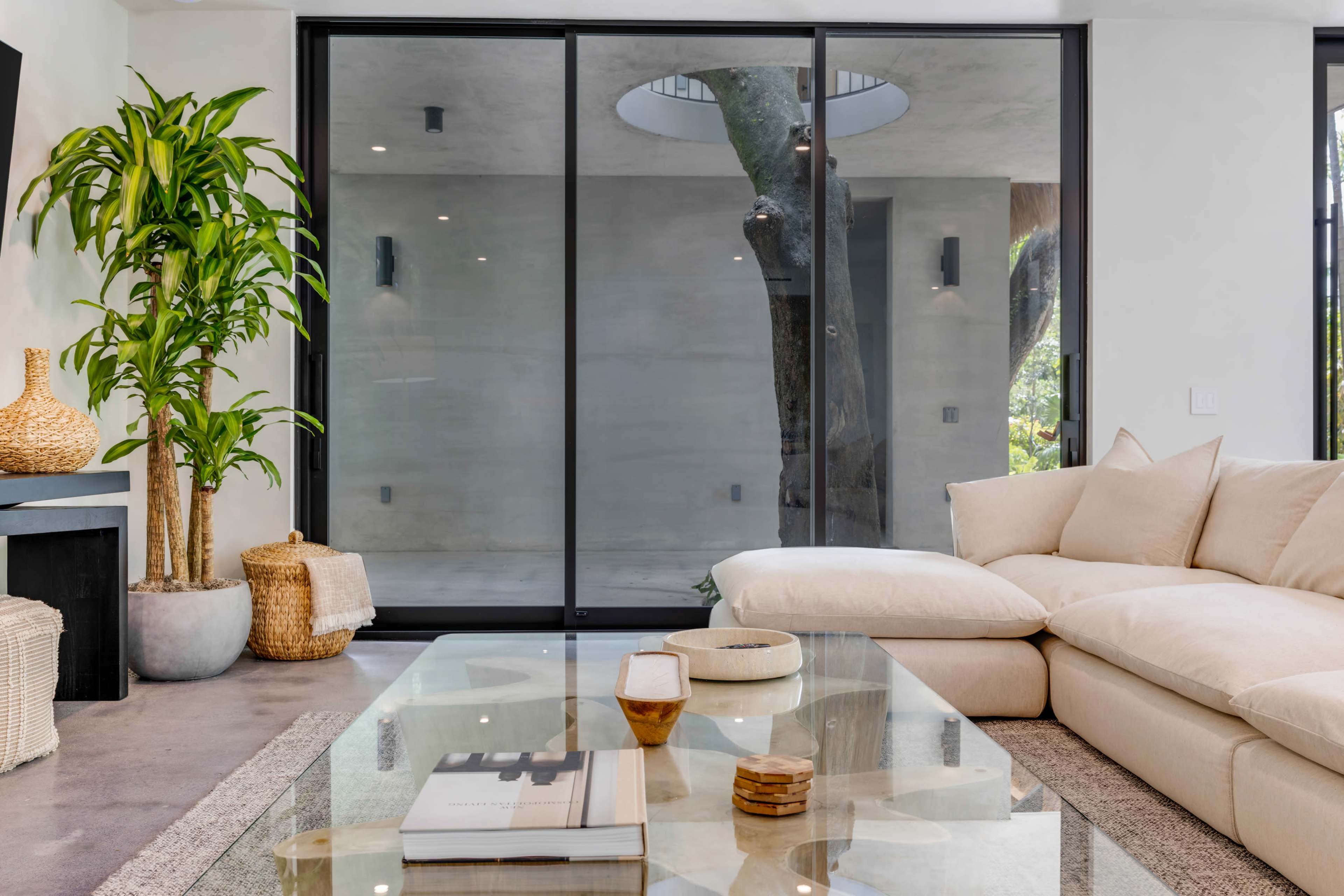 Jungle Book Experience | Miami Jungle Retreat | Luxury Wellness Oasis ...