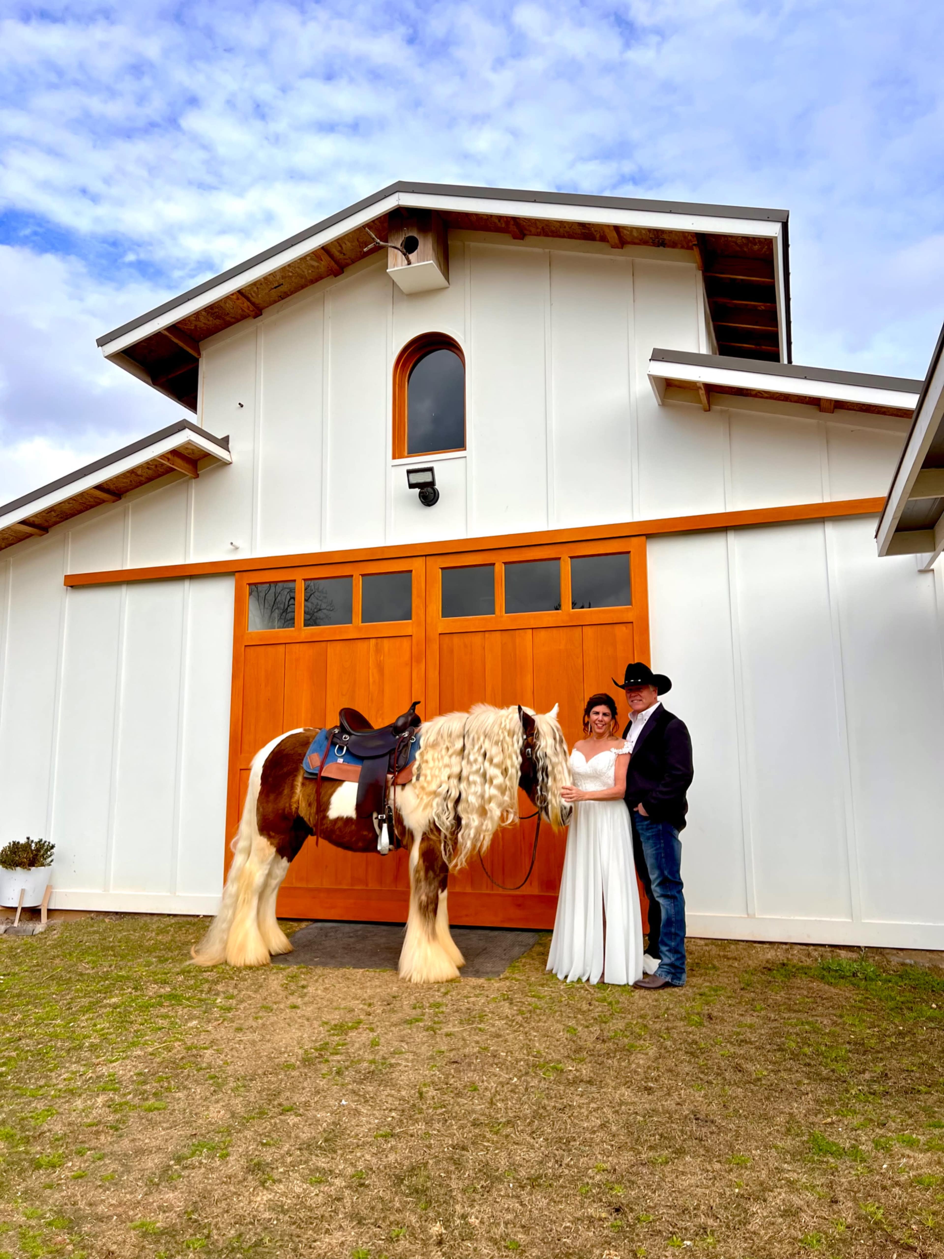 Mini Ranch on 3 acres with modern white barn and 3 horses, Fallbrook ...
