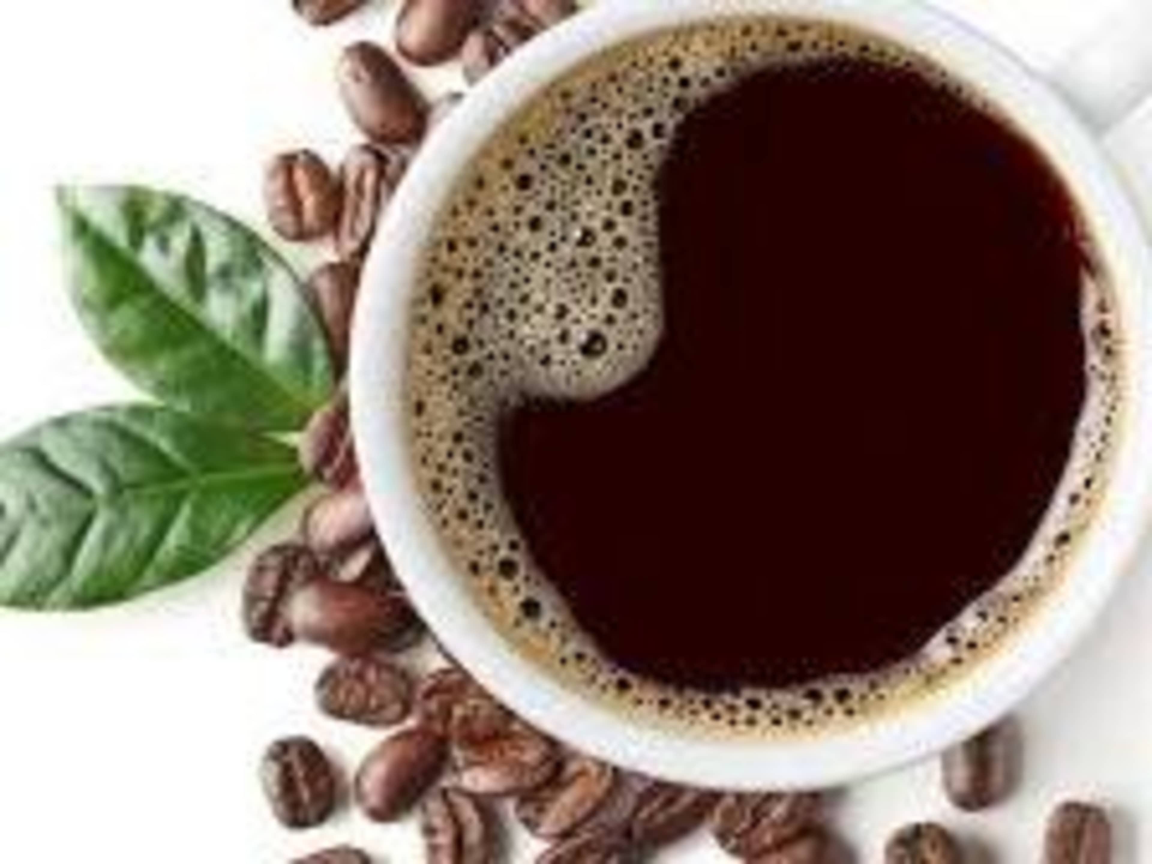 Slate on South | South Wedge Boutique Venue with Natural Light & Street ...